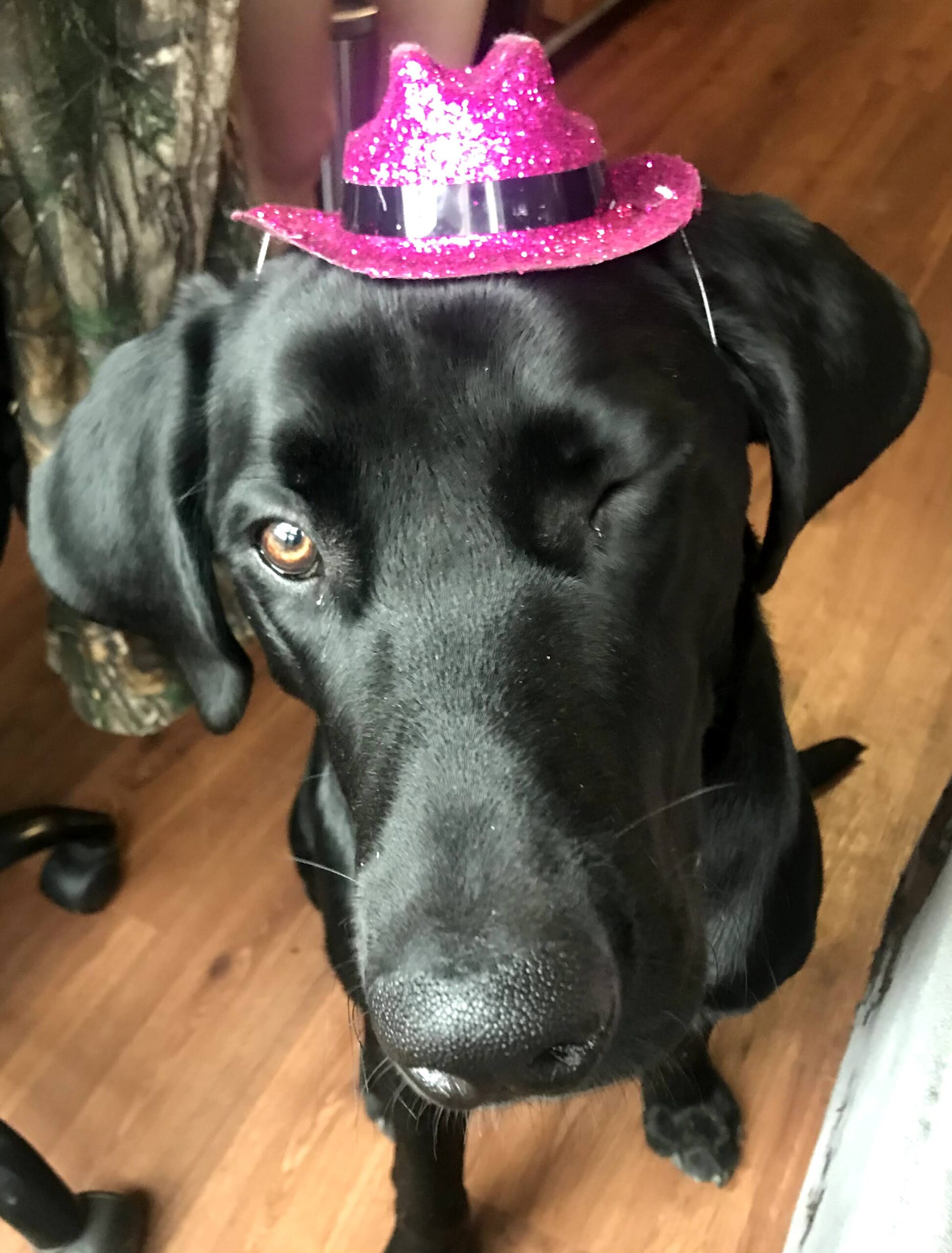 Meet the Founder – NC Nature and Nurture